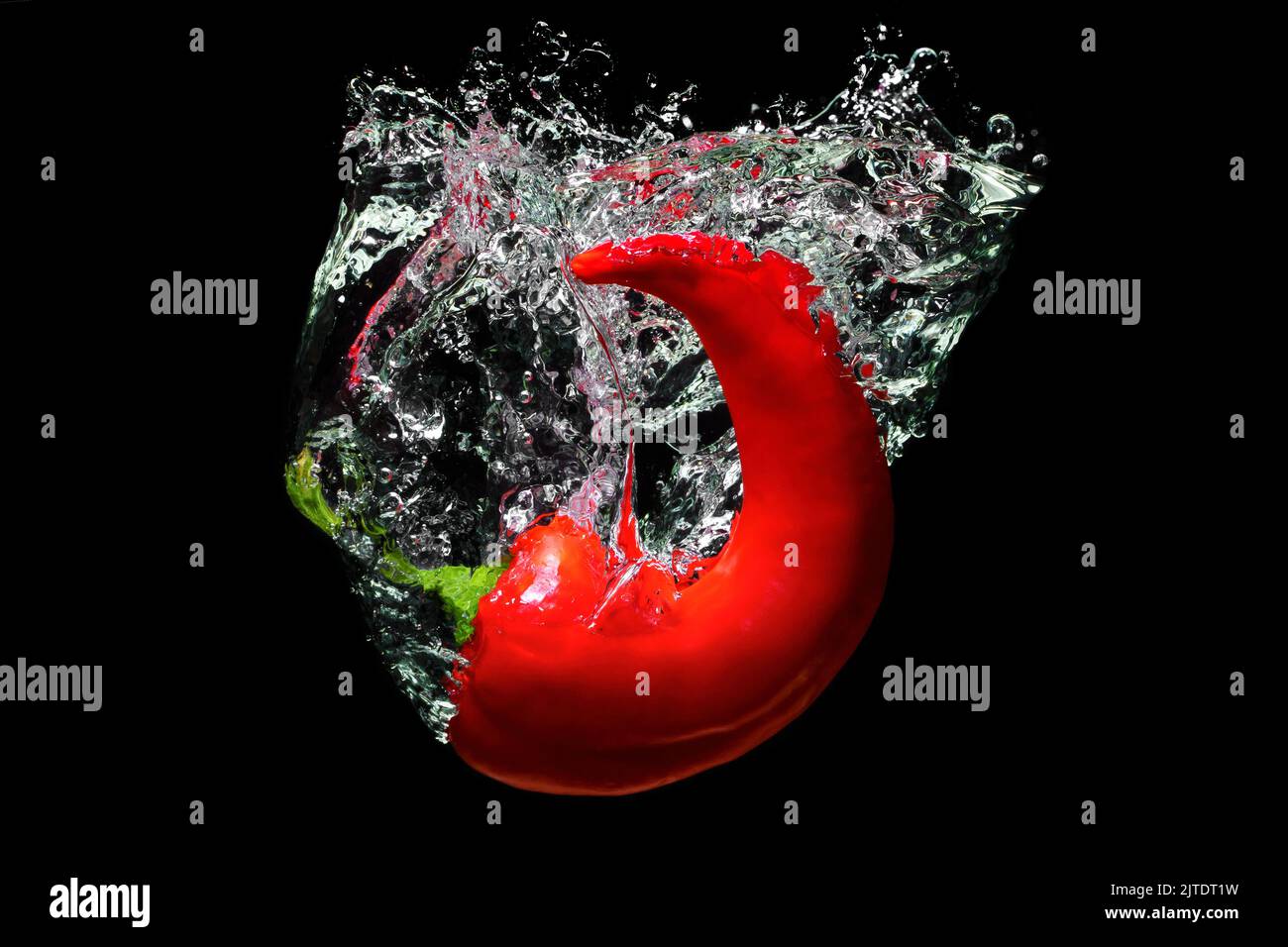 Close-up of a curly chile pepper dropped in water with splashes ...