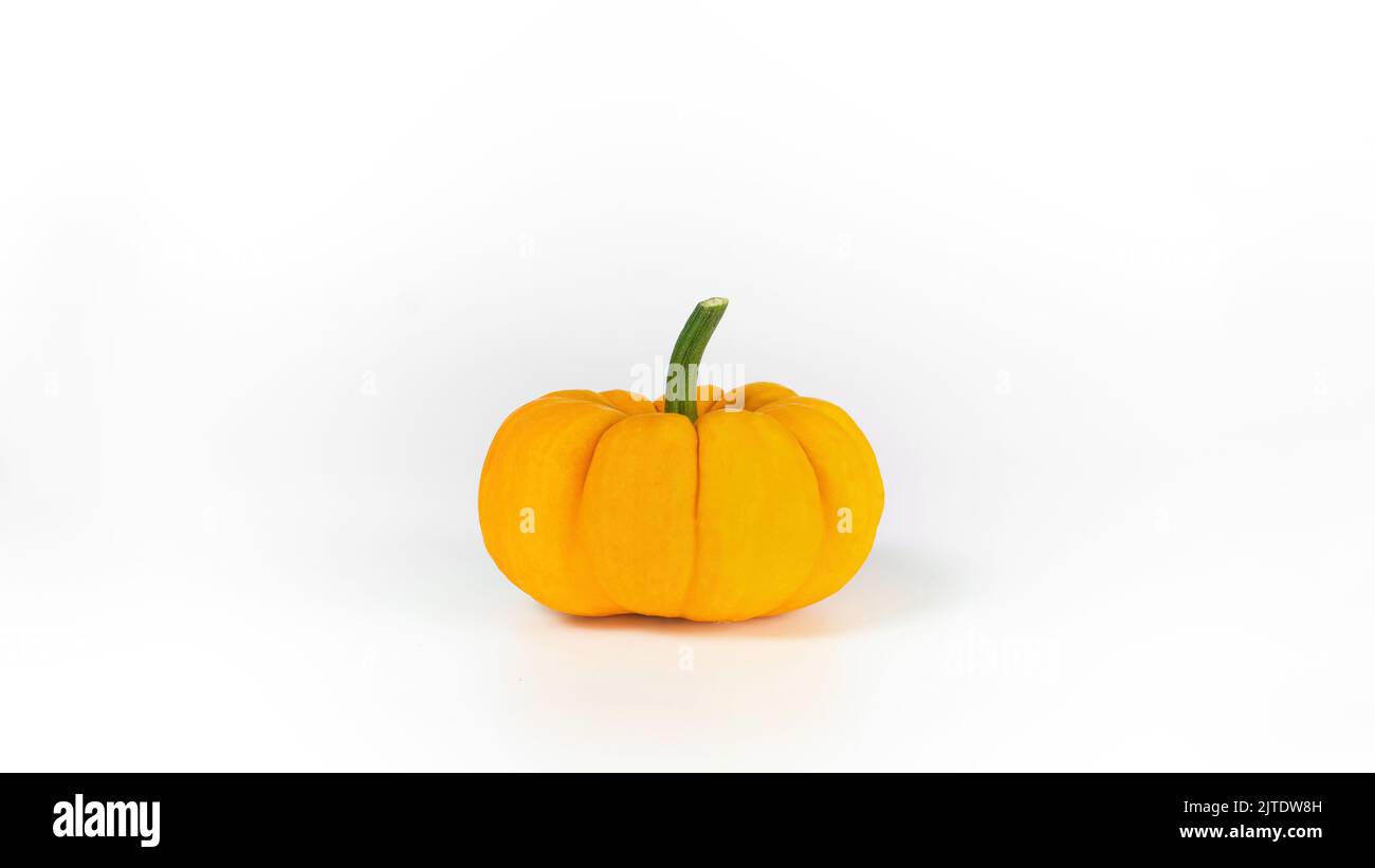 Orange pumpkin isolated on white background with copy space. Beautiful ...