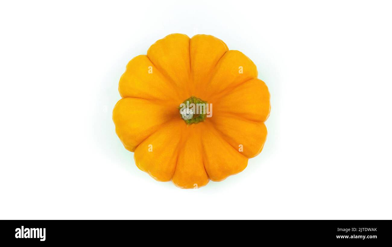 Small orange pumpkin top view with copy space. Decorative squash flat ...