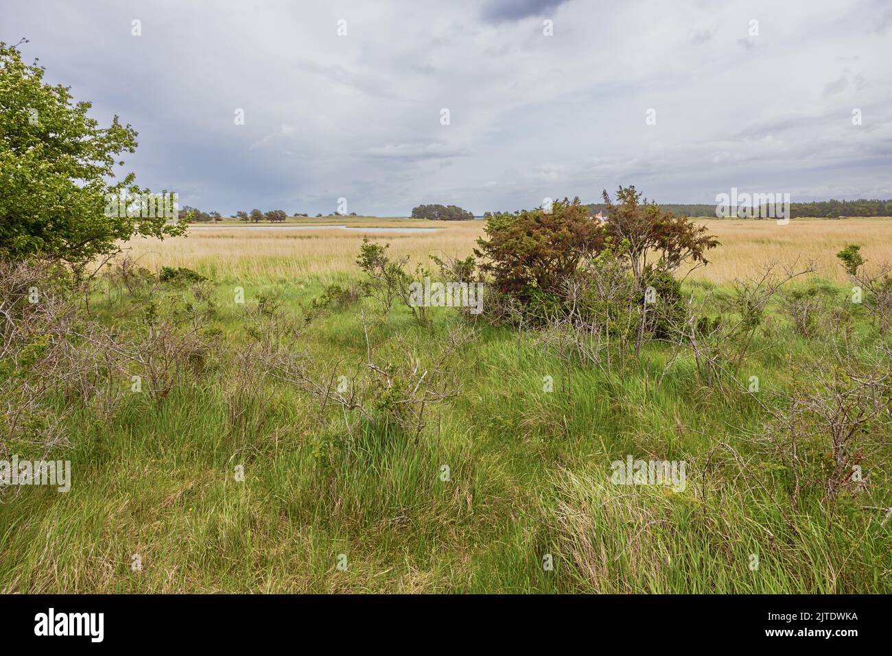 Peninsula darss hi-res stock photography and images - Alamy