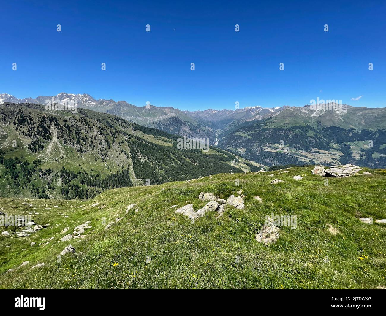 A scenic view of green forests on a slope of a mountain range Stock ...