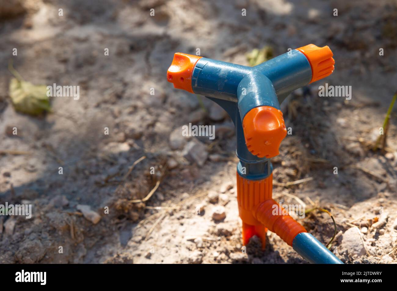 Whirling rotating lawn sprinkler in focus. Gardening or garden tools ...