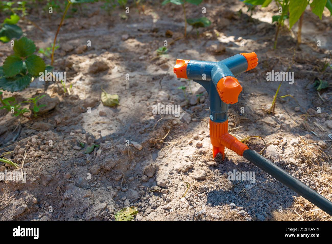 Three arm rotary or rotating sprinkler in focus. Gardening tools ...
