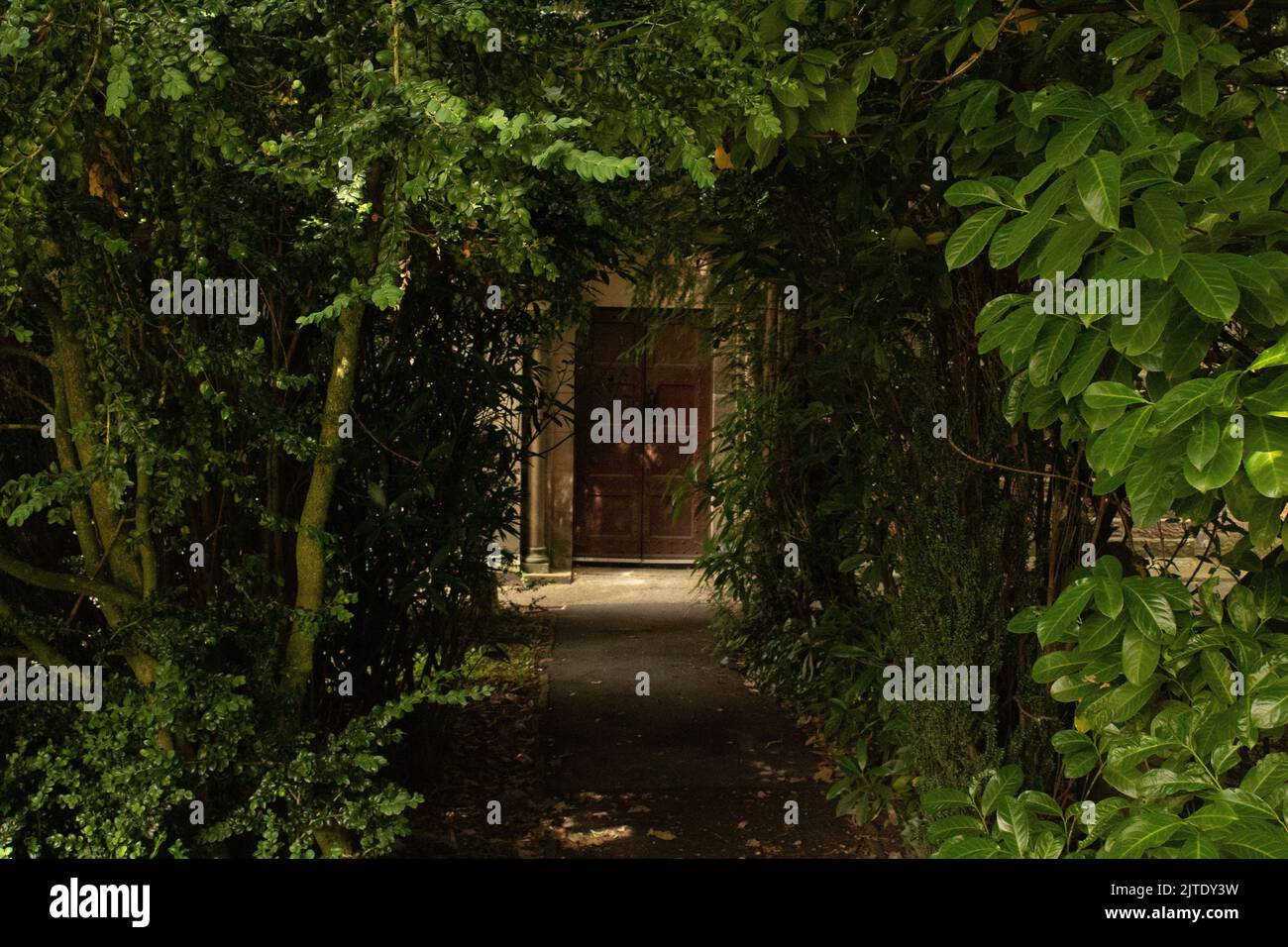 Tunnel to church door Stock Photo - Alamy