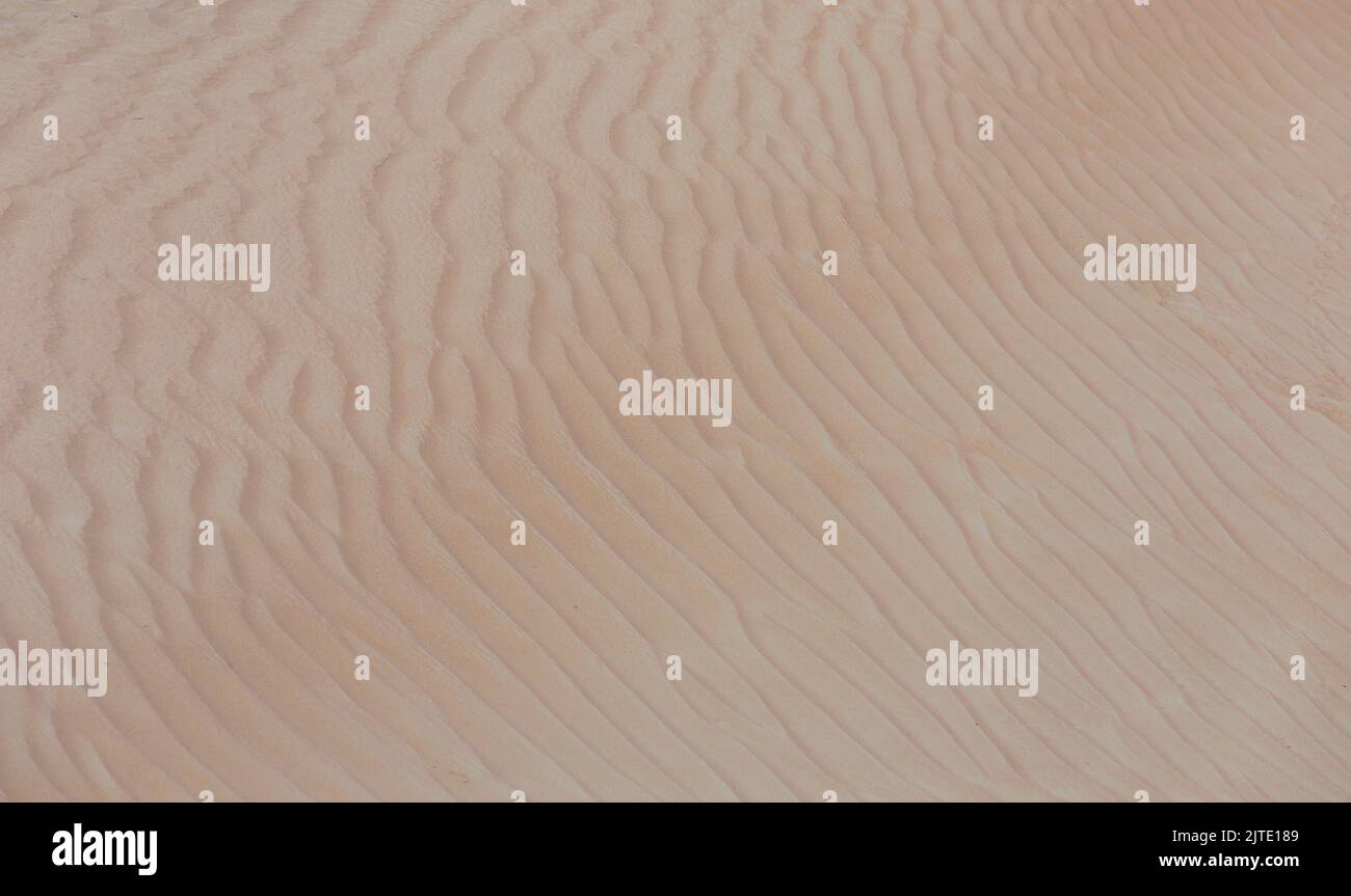 sand formation in the Sharjah desert Stock Photo - Alamy