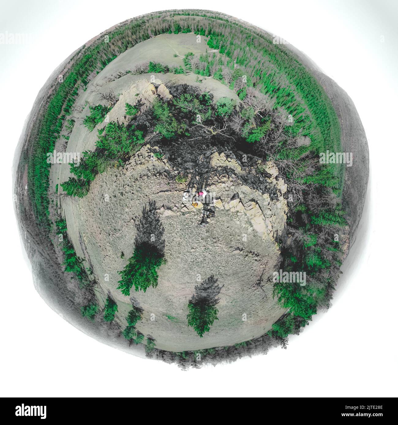 A 360 of trees and ground in Pennsylvania Stock Photo - Alamy