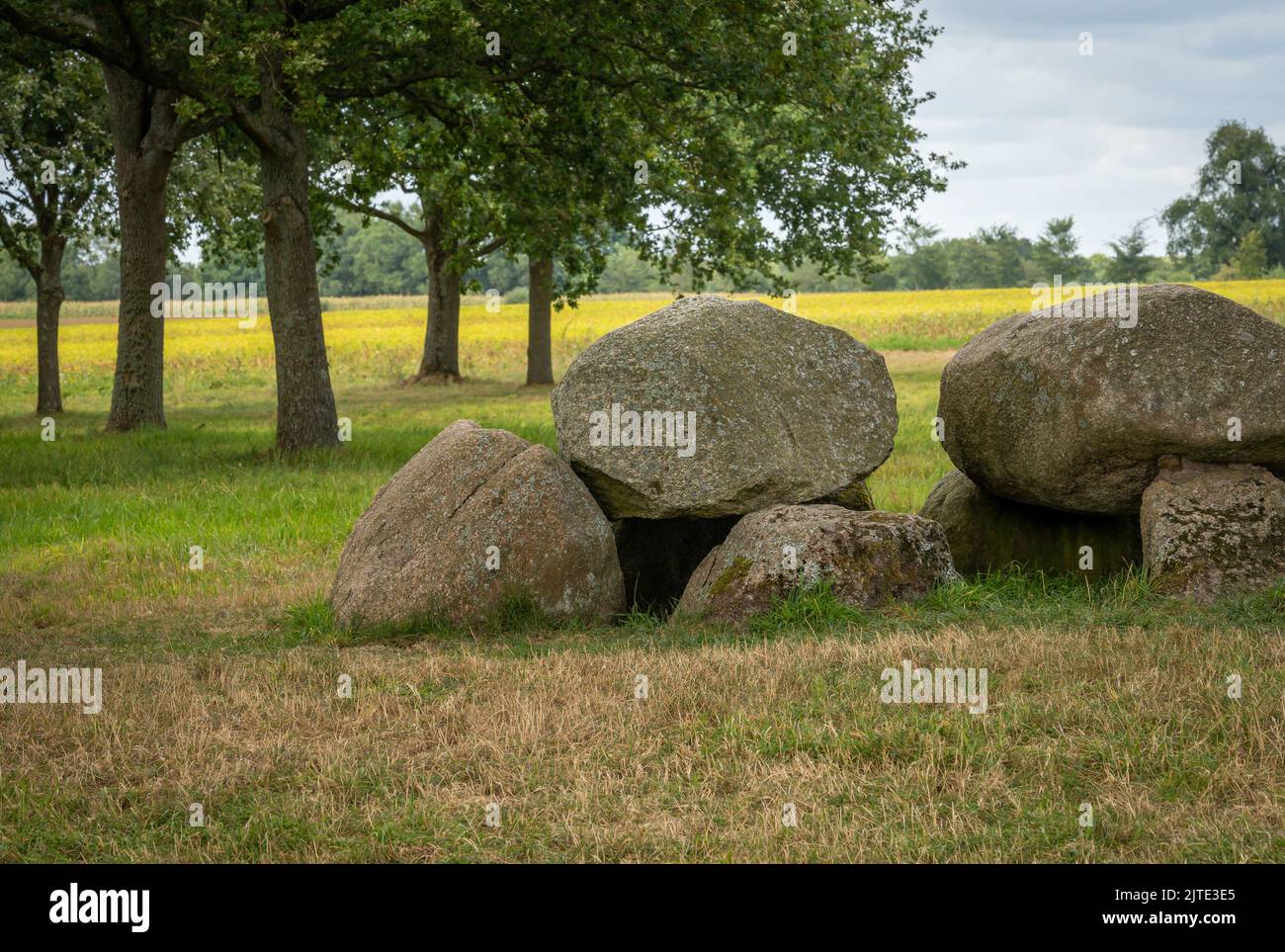 Dolmen D16, called "hunebed" in dutch, in te village of Balloo ...