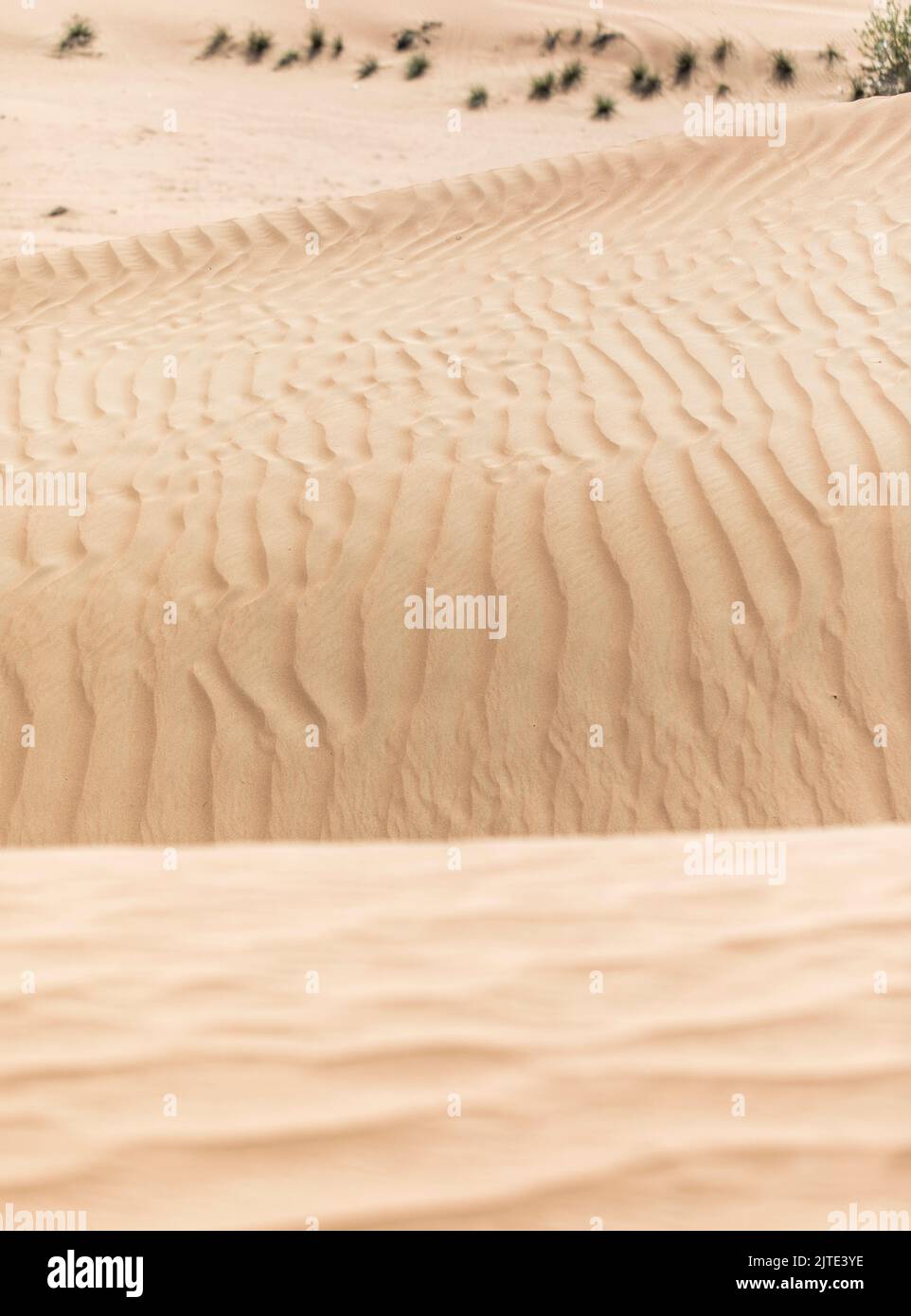 sand formation in the Sharjah desert Stock Photo - Alamy