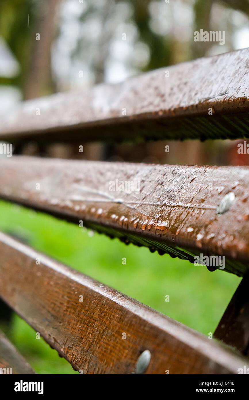 Wet bench in the park in the rain. Rainy weather. Wooden chair in the ...