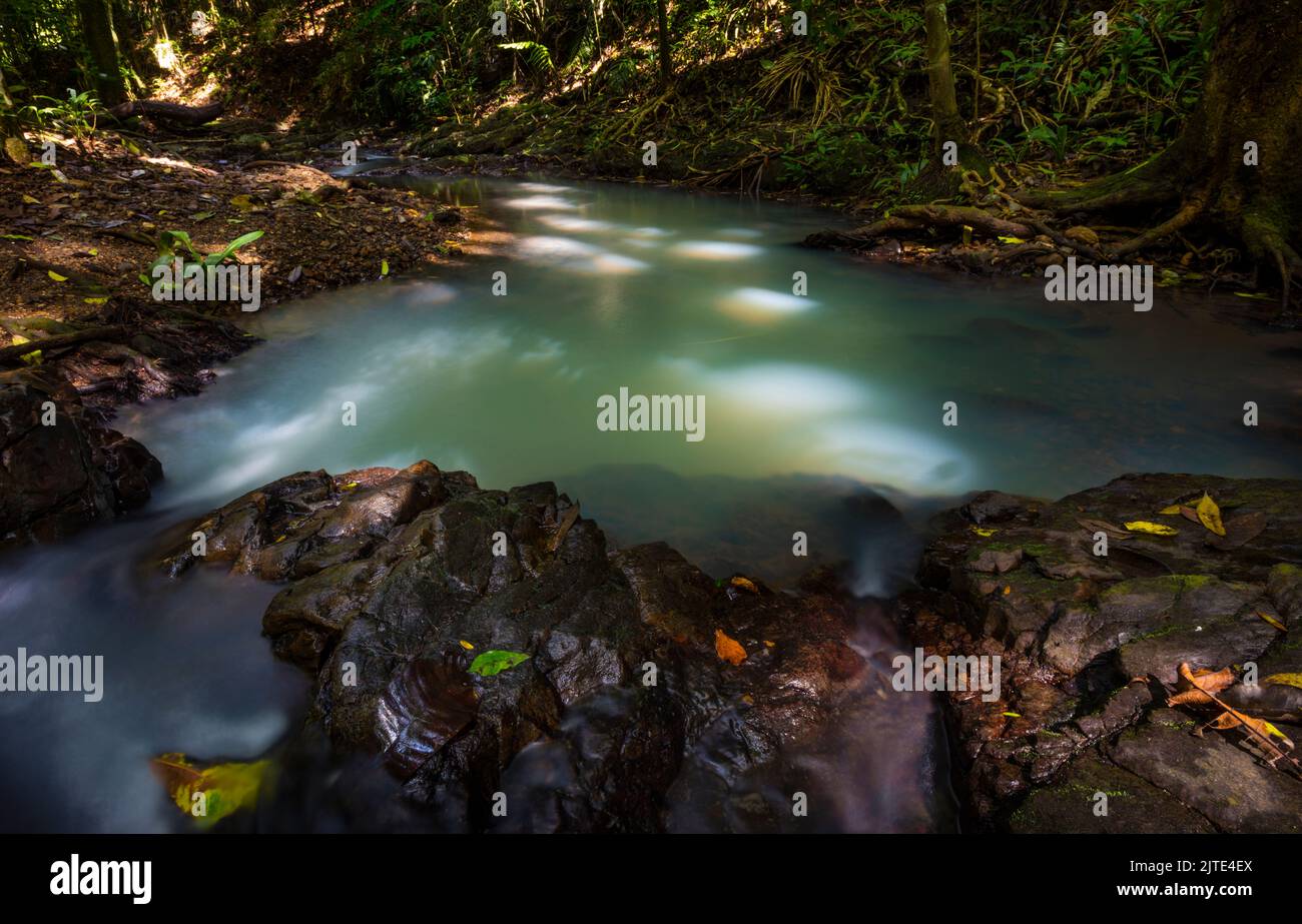 Beautiful sunspots on a rainforest stream in the lush tropical ...