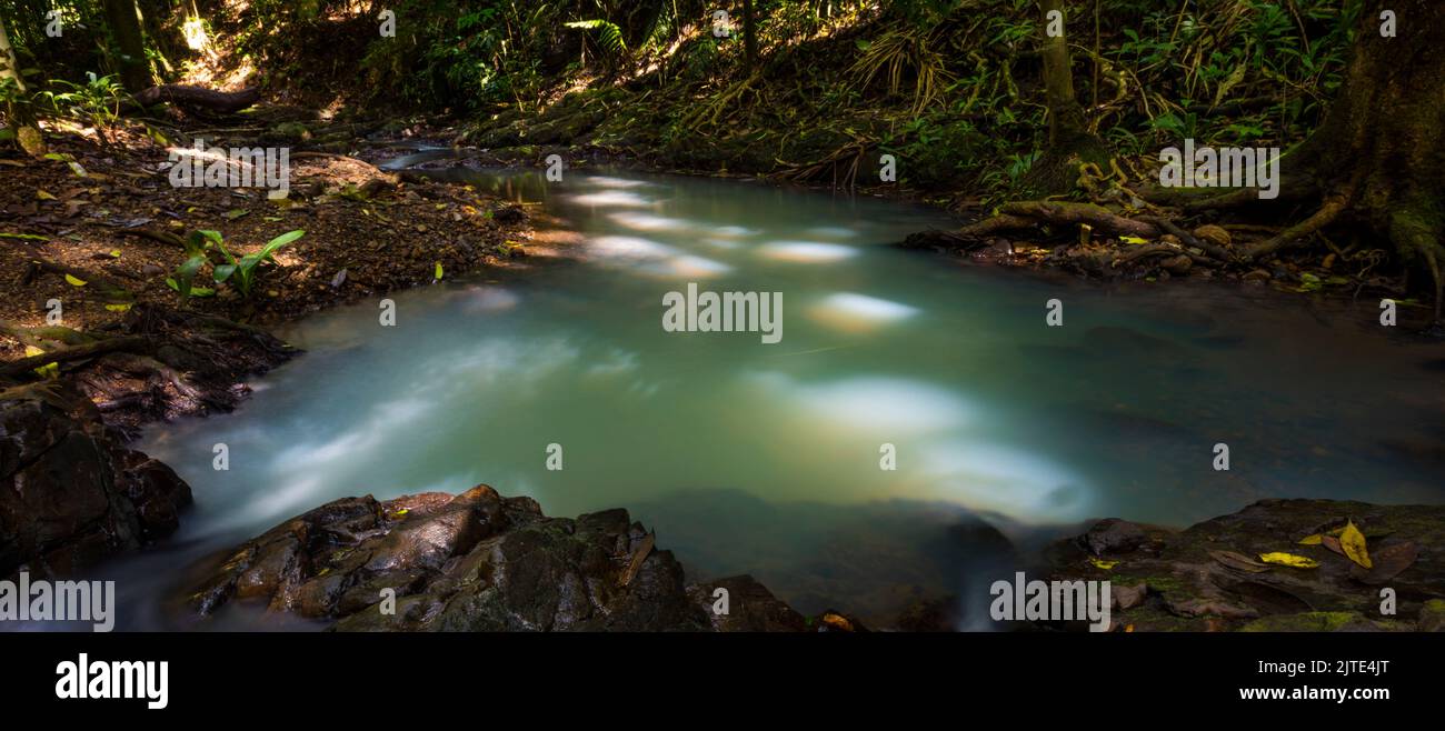 Beautiful sunspots on a rainforest stream in the lush tropical ...
