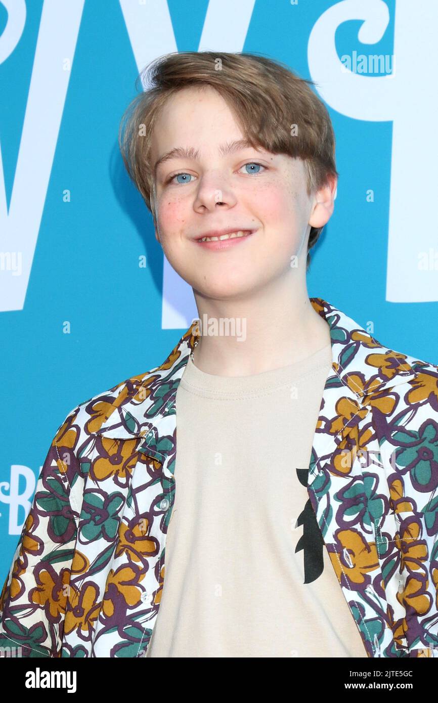 LOS ANGELES - AUG 29: Andy Walken at the Ivy + Bean Special Screening ...