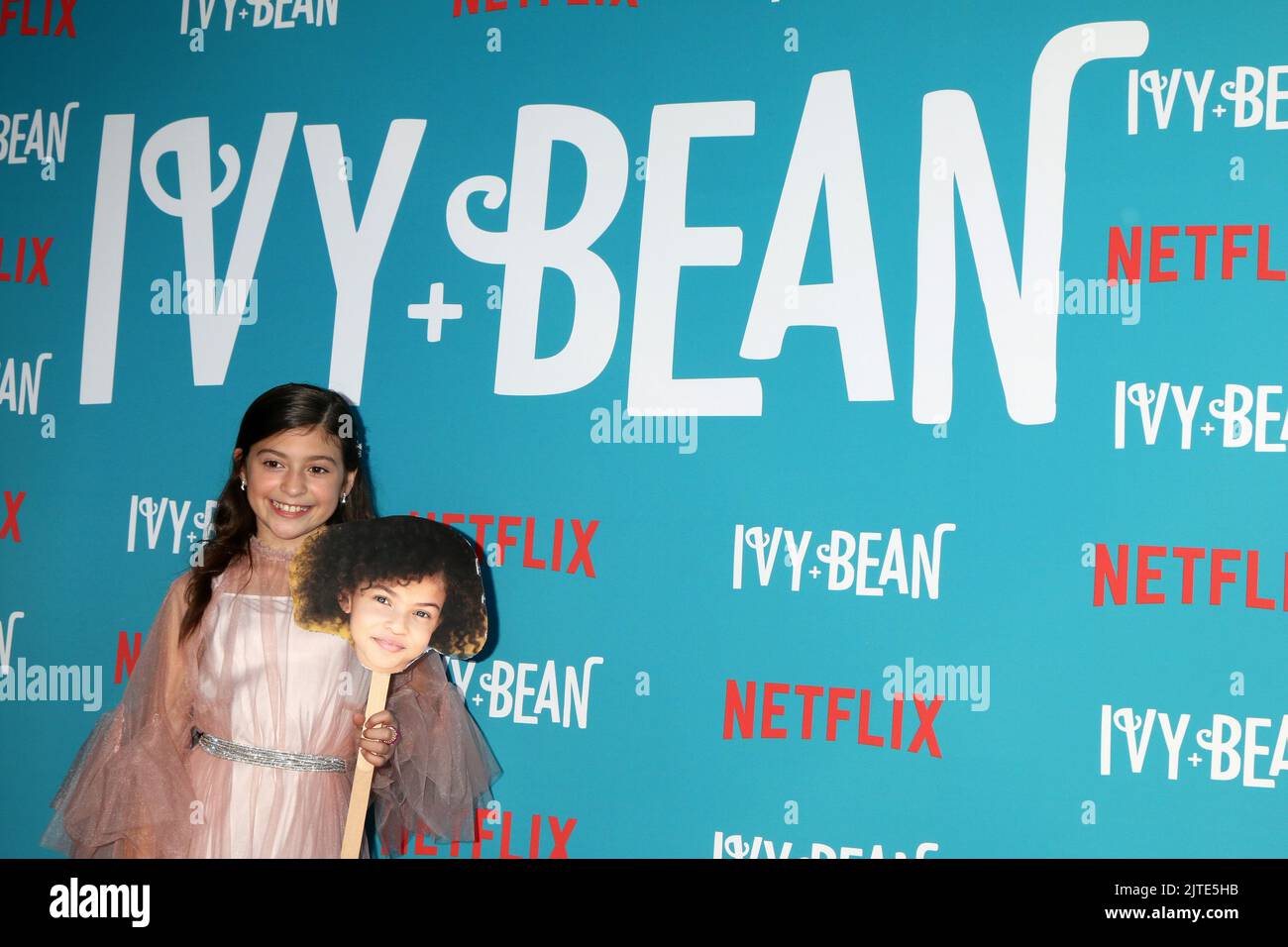 Cardboard madison skye validum hi-res stock photography and images - Alamy