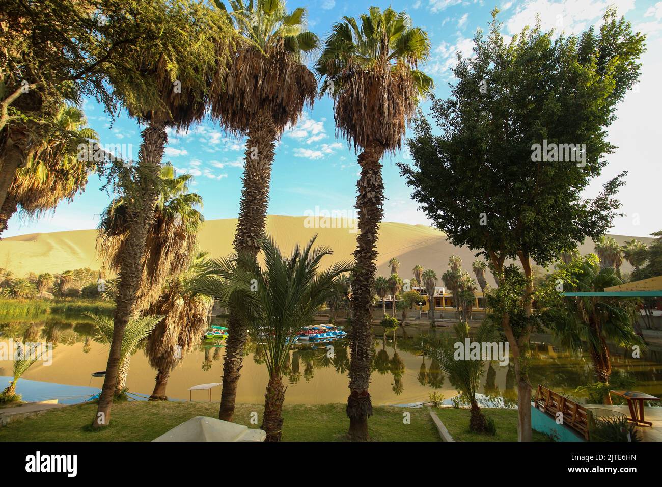 Huacachina - an oasis in the middle of the Peruvian desert, view of ...