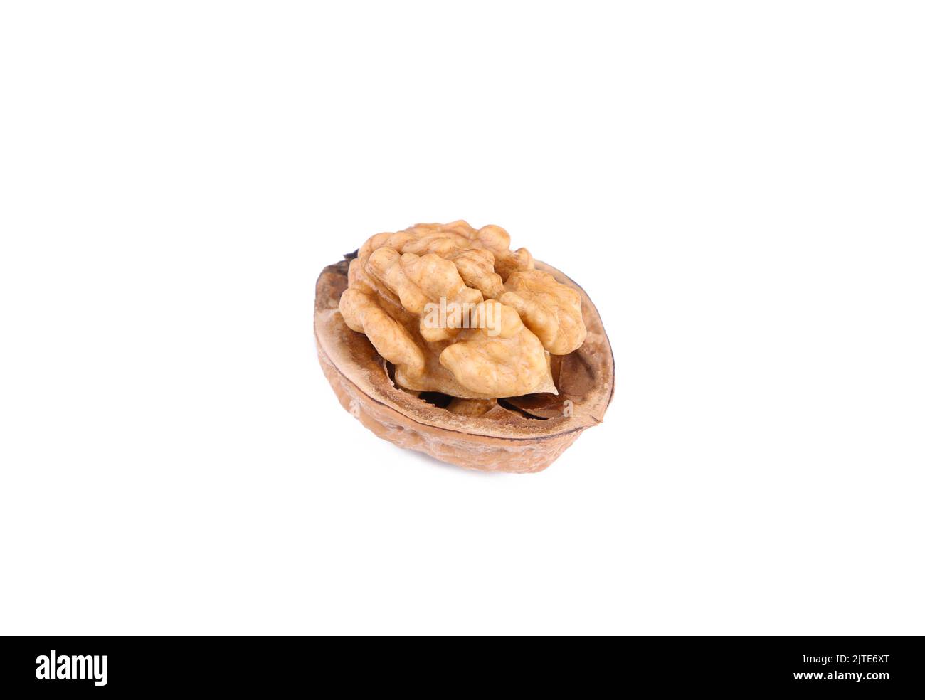 Fresh walnut in closeup isolated on white background Stock Photo - Alamy
