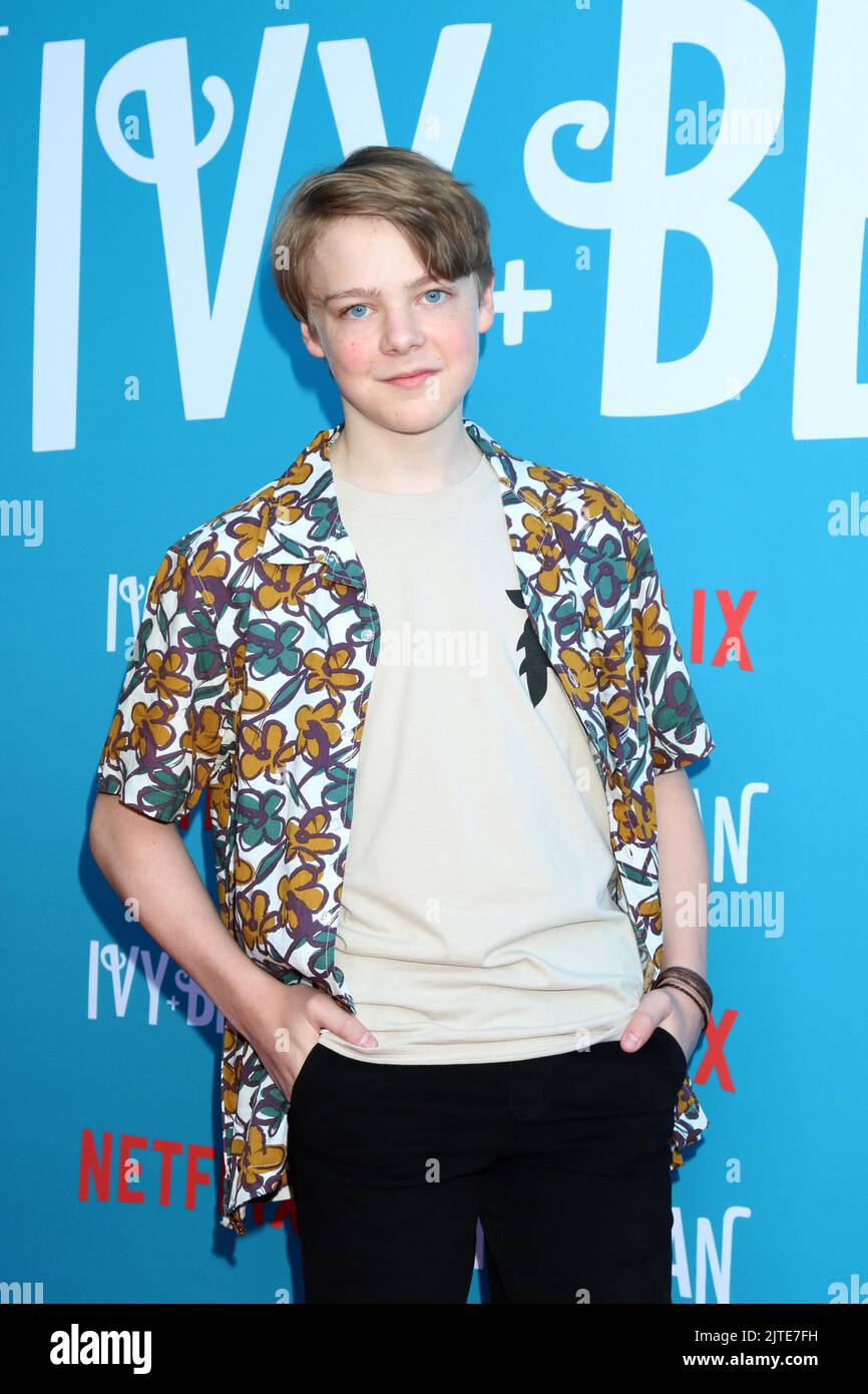 August 29, 2022, Los Angeles, CA, USA: LOS ANGELES - AUG 29: Andy ...