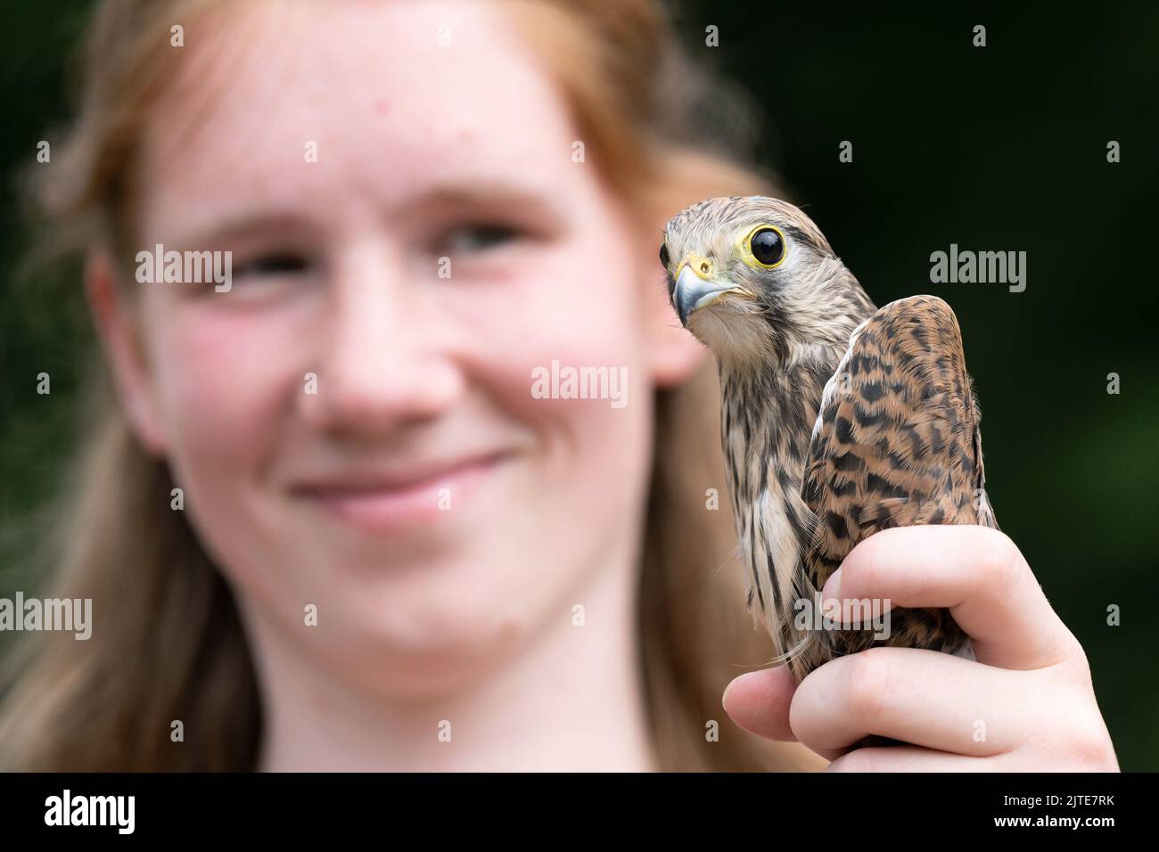 Ronja fulsche hi-res stock photography and images - Alamy
