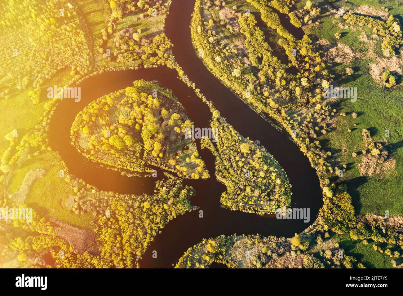 Aerial View Green Forest Woods And River Landscape In Sunny Spring ...