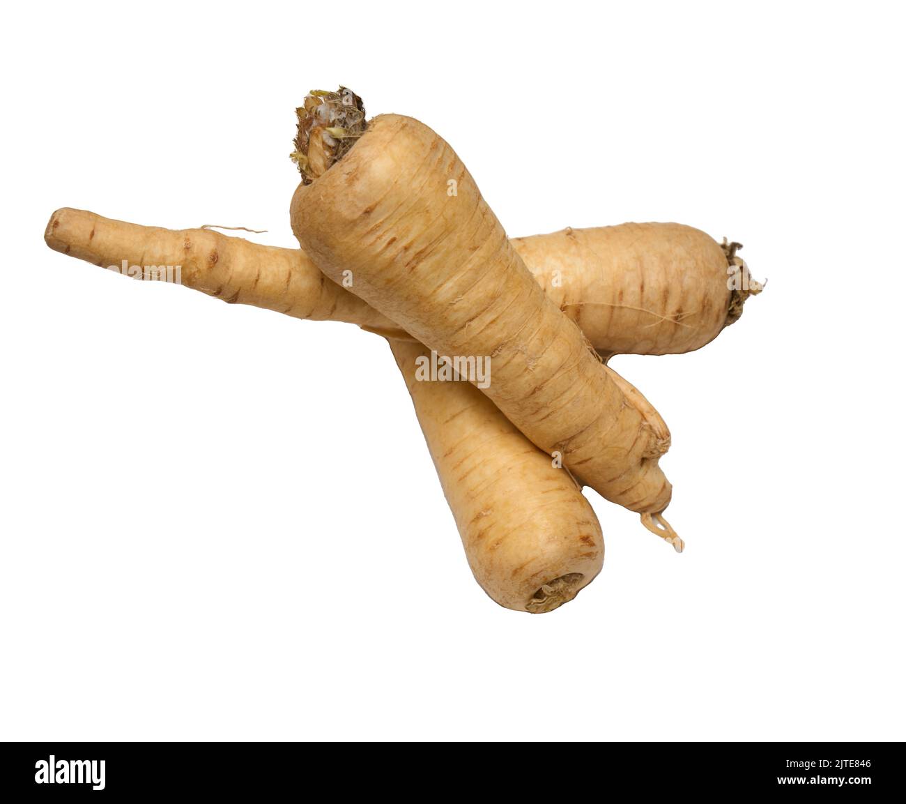 A close-up shot of white parsnip roots isolated on white background ...