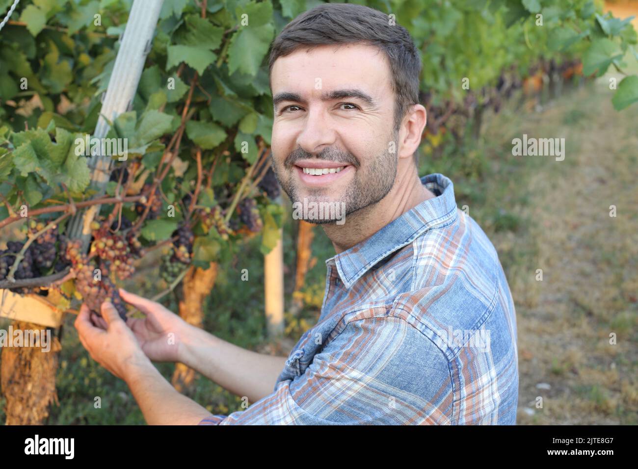 Handsome male farmer in hi-res stock photography and images - Alamy