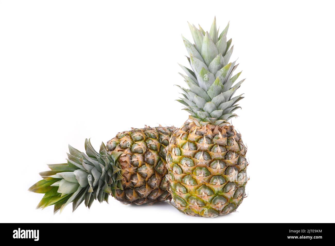 Pineapples leaves Cut Out Stock Images & Pictures - Alamy