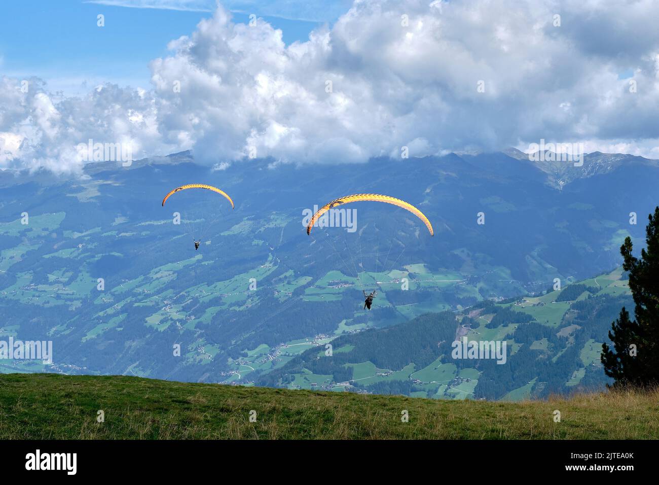 Paragliding Zillertal, Austria Stock Photo - Alamy