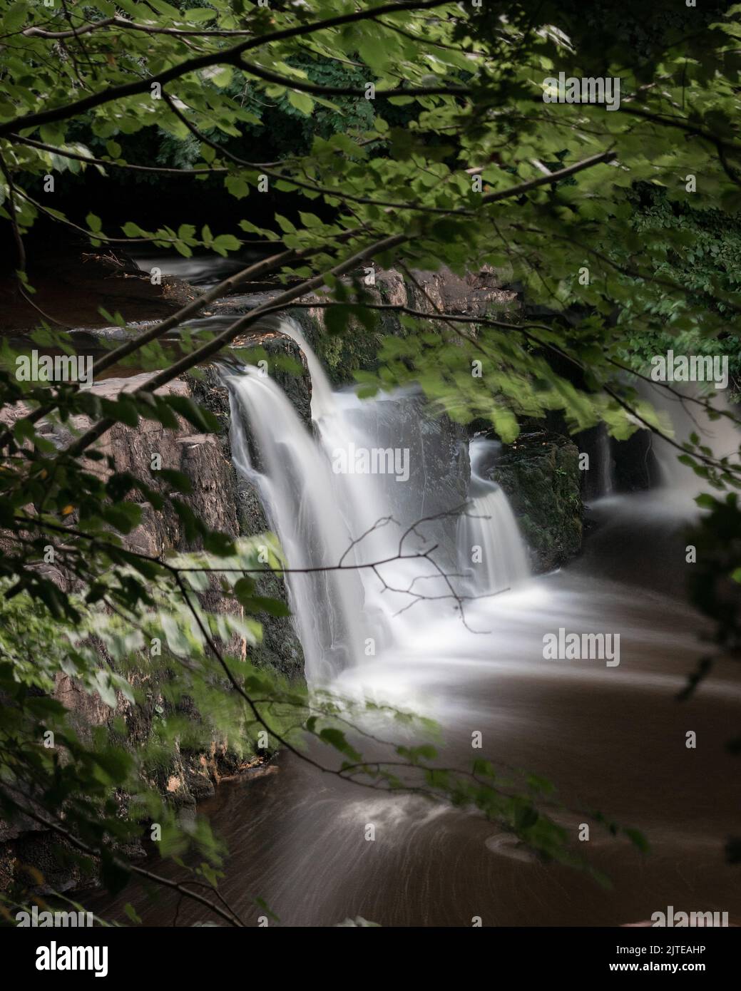 The Linn Park waterfall in Glasgow, Scotland Stock Photo - Alamy