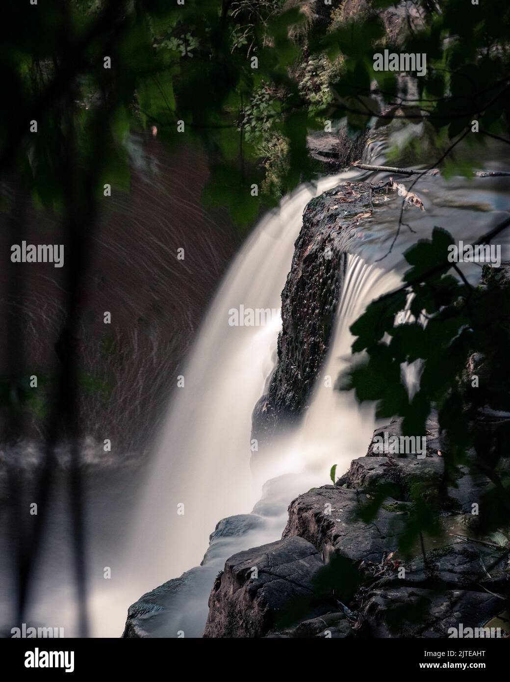 The Linn Park waterfall in Glasgow, Scotland Stock Photo - Alamy