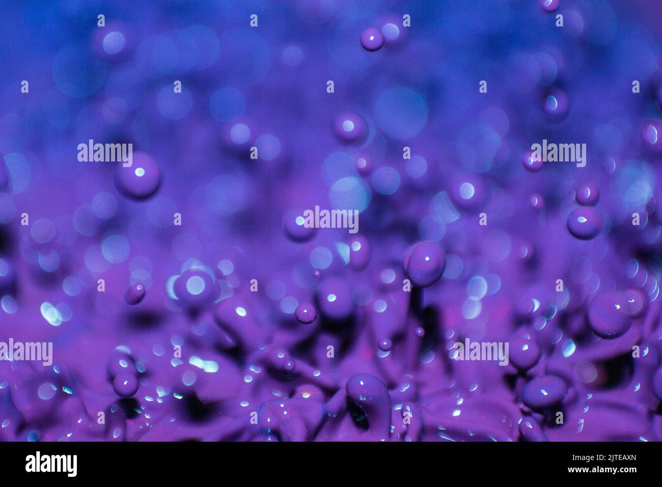 Blue and Purple Paint Jumping with Sound Stock Photo - Alamy