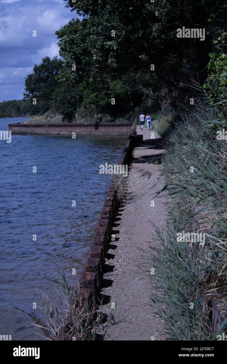 A vertical shot of a narrow footpath with greenery and two people ...