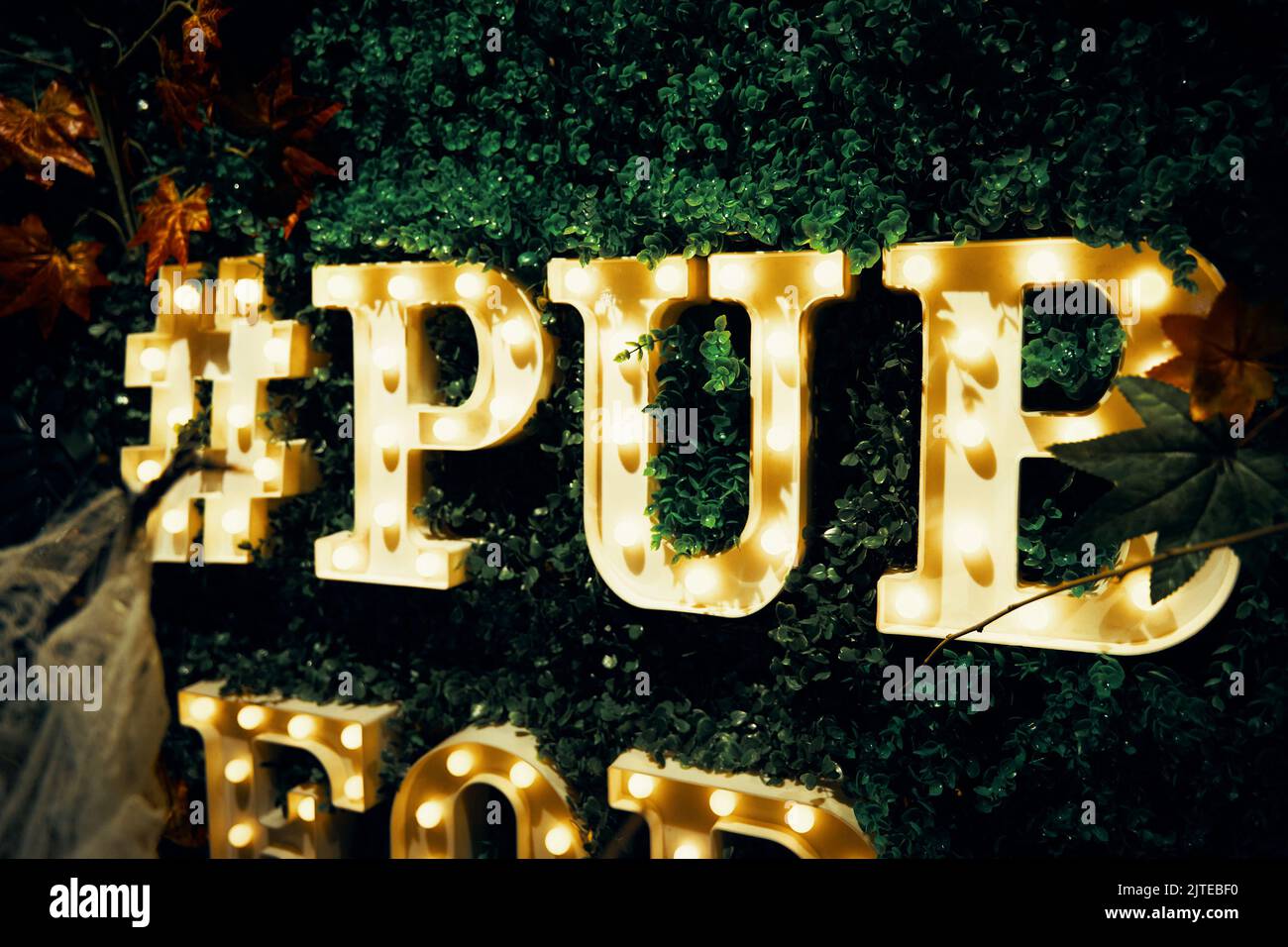 Pub inscription is made of glowing letters on a grass wall with leaves ...
