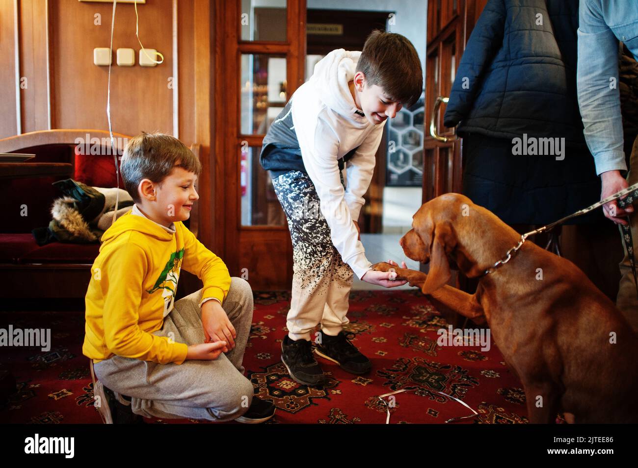 Children on birthday party playing with dog Stock Photo - Alamy