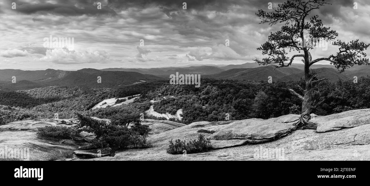 Beautiful view horses landscape Black and White Stock Photos & Images ...