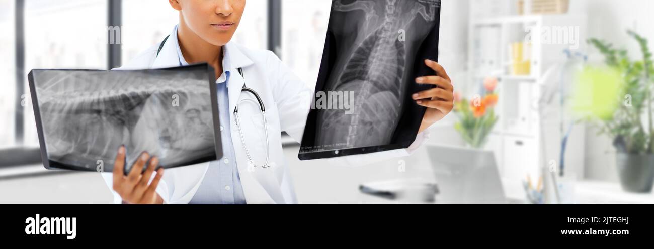 veterinarian with animal's x-ray at vet clinic Stock Photo - Alamy
