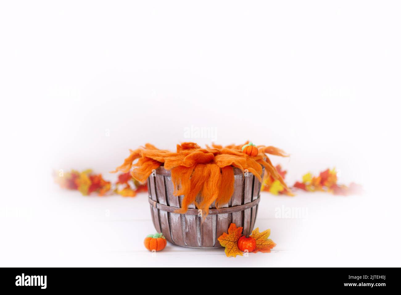 Newborn digital backdrop with fall items. Autumn background Stock Photo ...