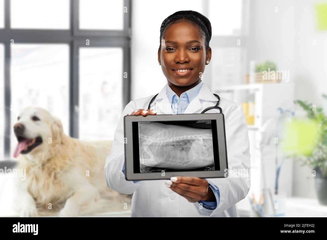 Animals on computer screen hi-res stock photography and images - Alamy