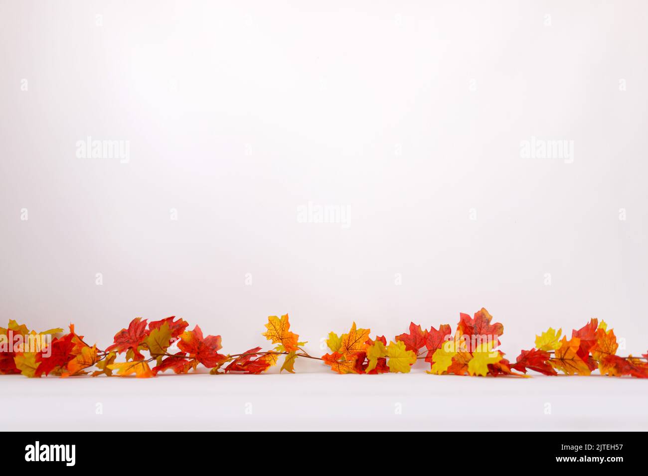 Newborn digital backdrop with fall items. Autumn background Stock Photo ...
