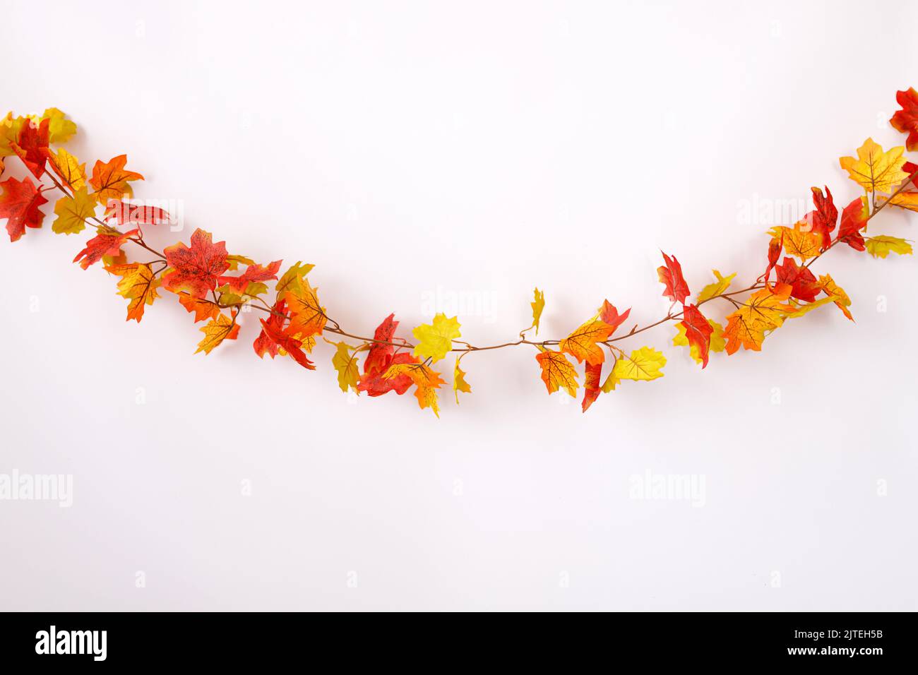 Thanksgiving background. Autumn or fall season Stock Photo - Alamy