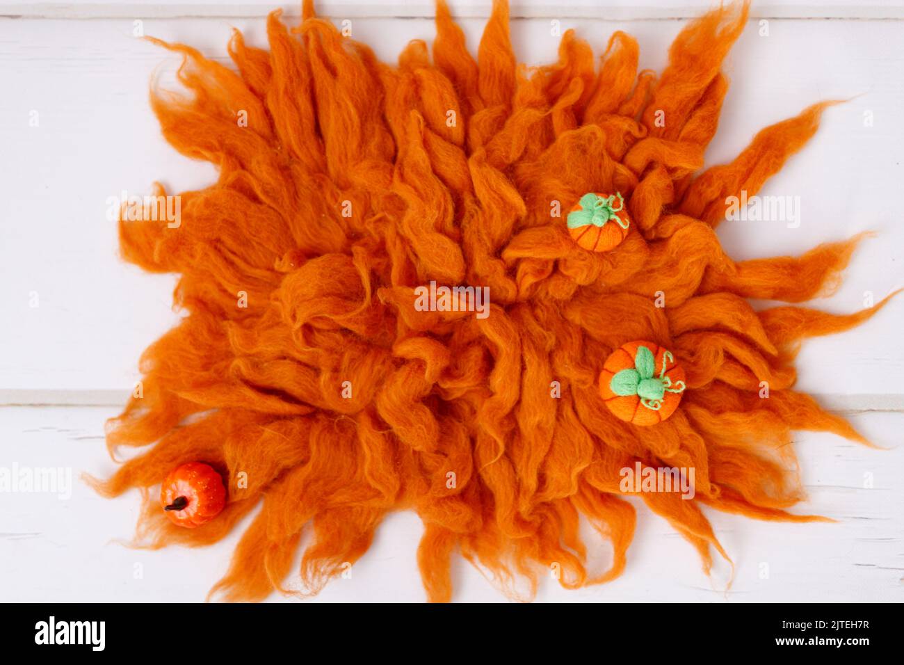 Newborn digital backdrop with fall items. Autumn background Stock Photo ...