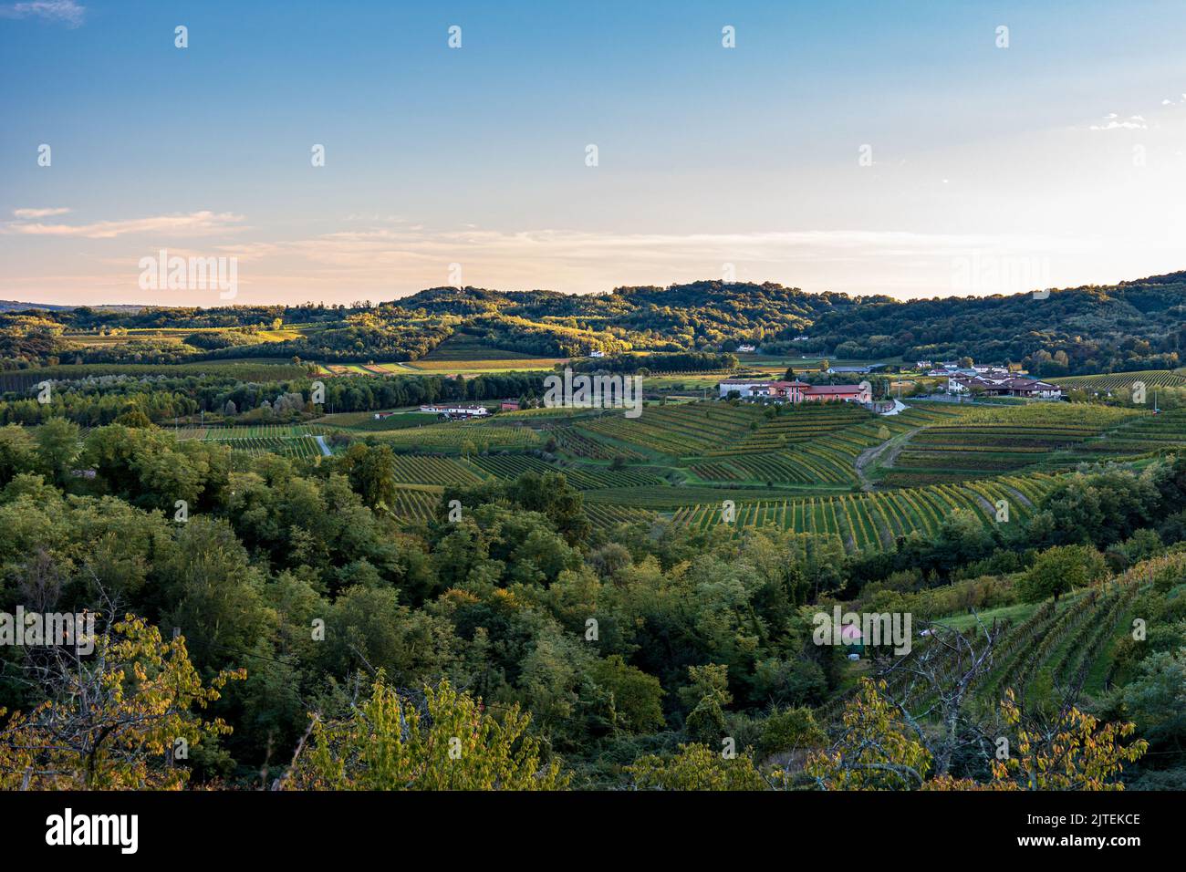 The sun goes down over the vineyards of Collio, Friuli Venezia Giulia ...