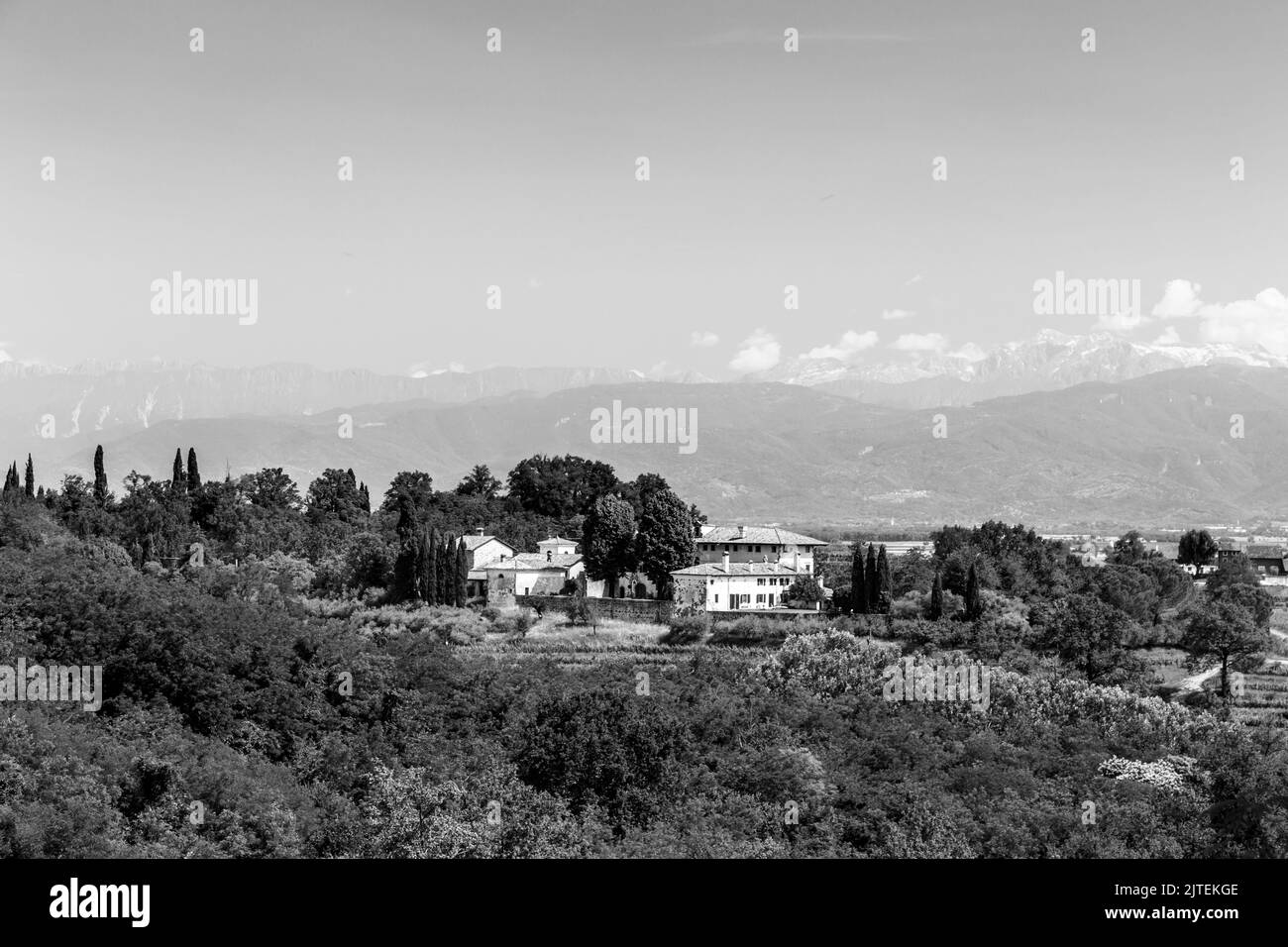 The vineyards of Buttrio in a summer day. Collio Friulano, Udine ...