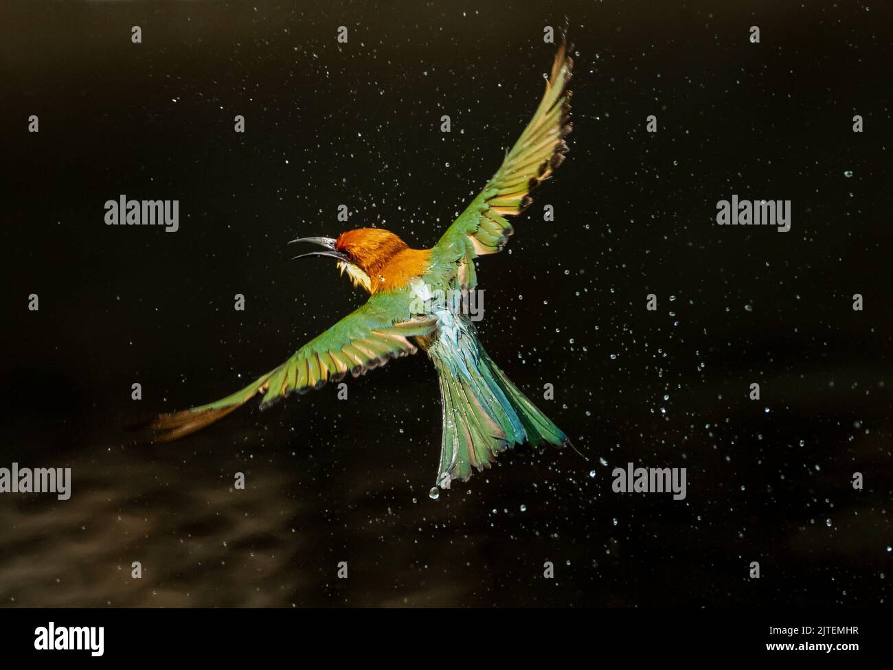 Flying photoshoot hi-res stock photography and images - Alamy