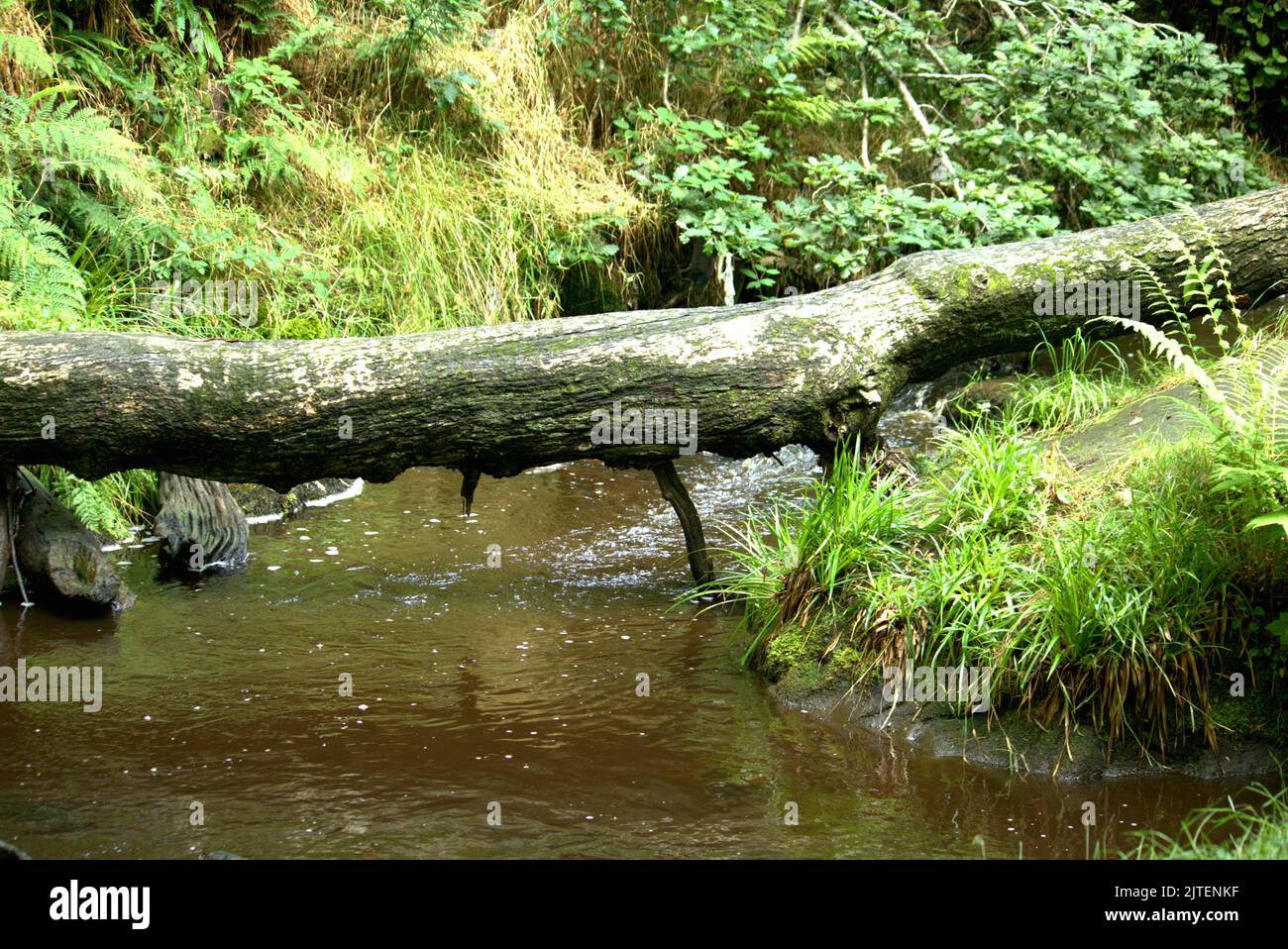 Stream water flowing out hi-res stock photography and images - Alamy