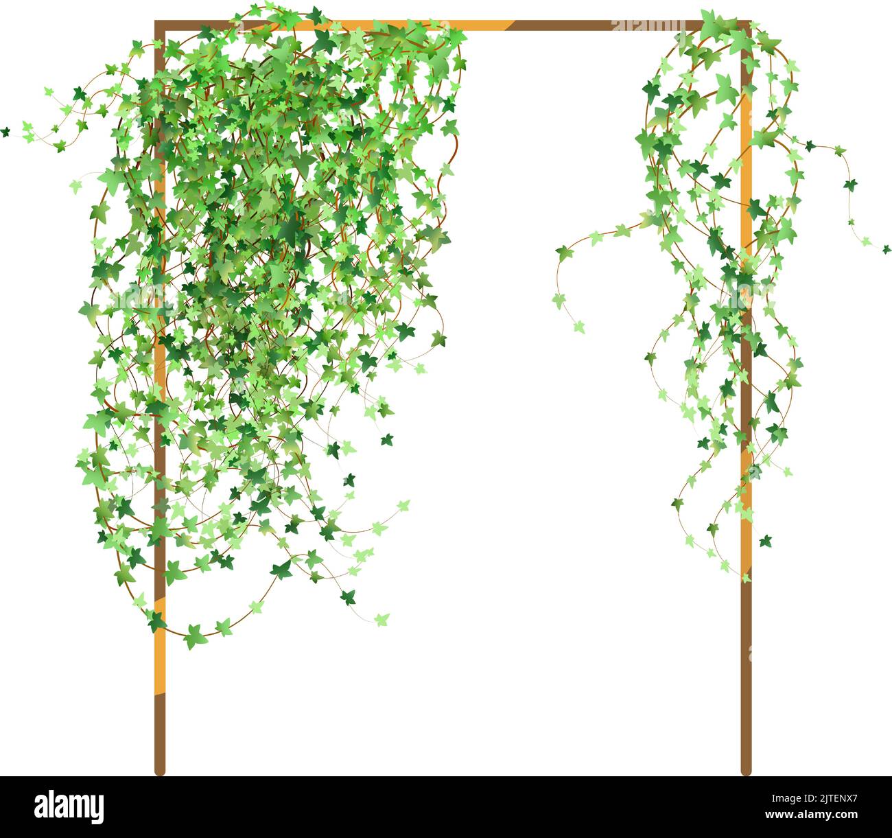 Decorative column for garden or home.Green vine, creeper or ivy hanging ...