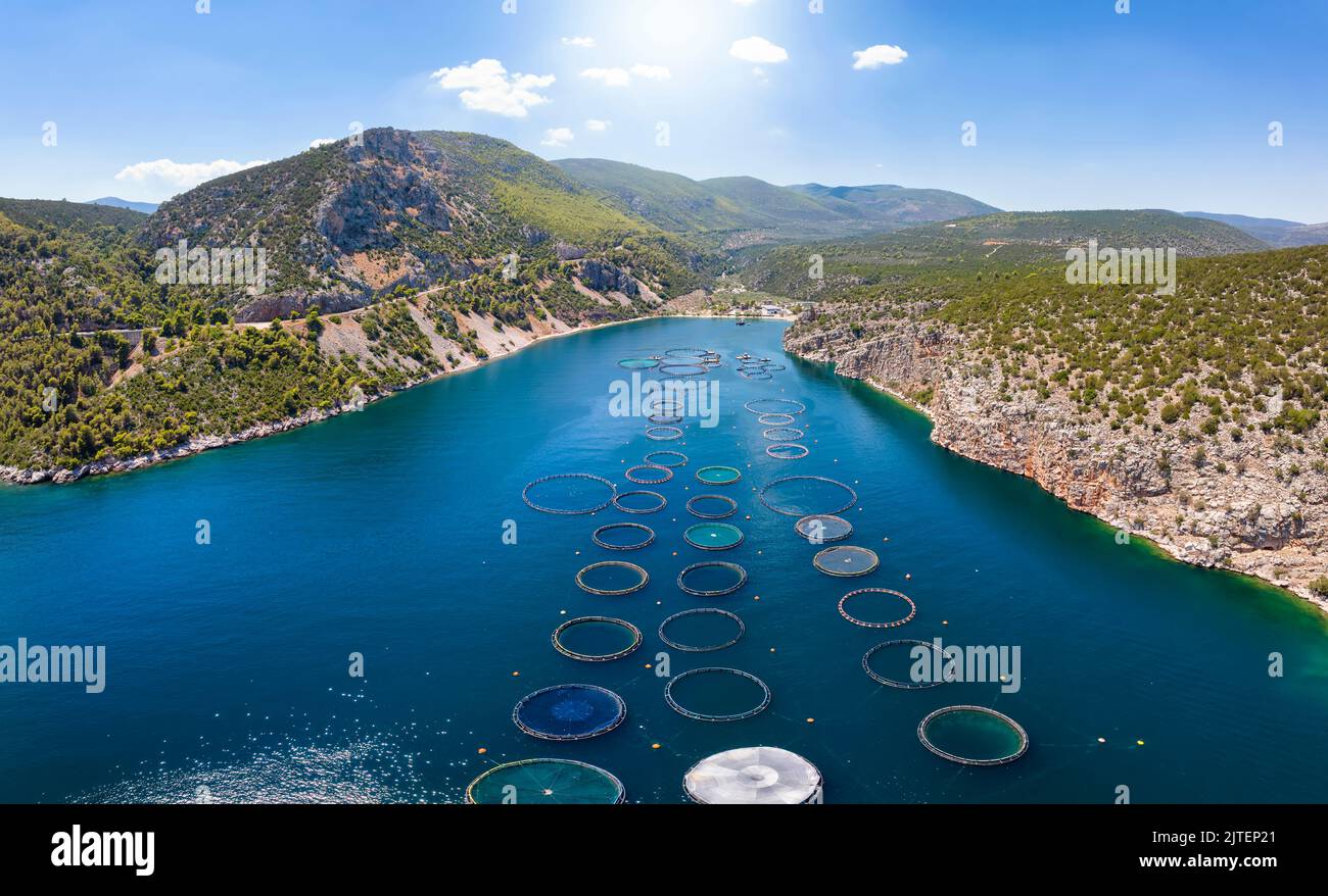 Aquaculture aerial view hi-res stock photography and images - Alamy