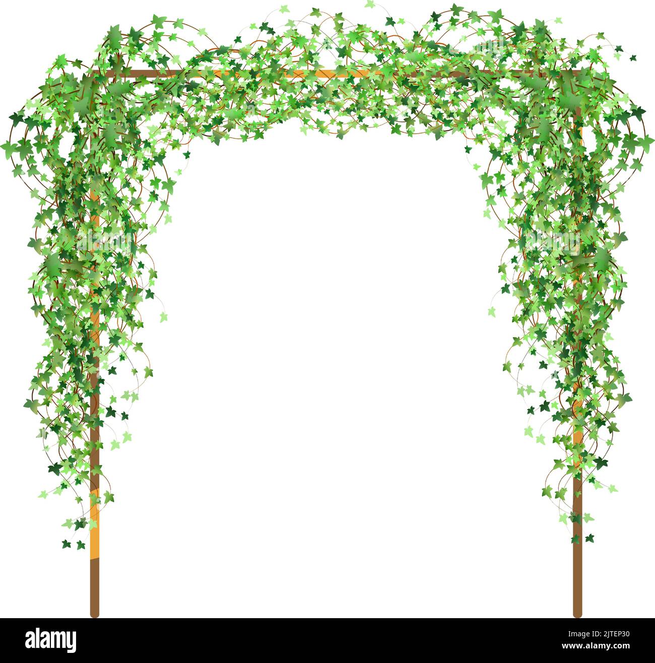 Decorative column for garden or home.Green vine, creeper or ivy hanging ...
