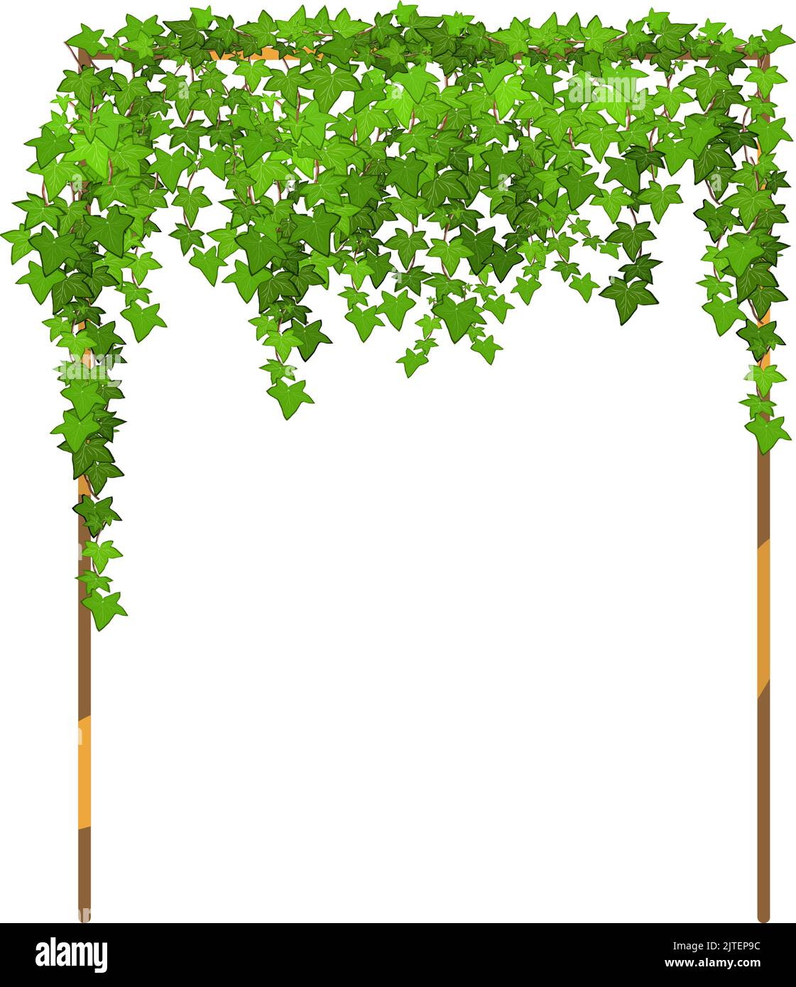 Decorative column for garden or home.Green vine, creeper or ivy hanging ...