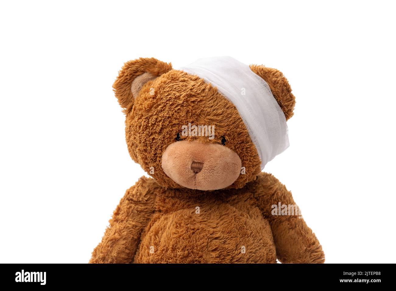 Bandaged bear hi-res stock photography and images - Alamy