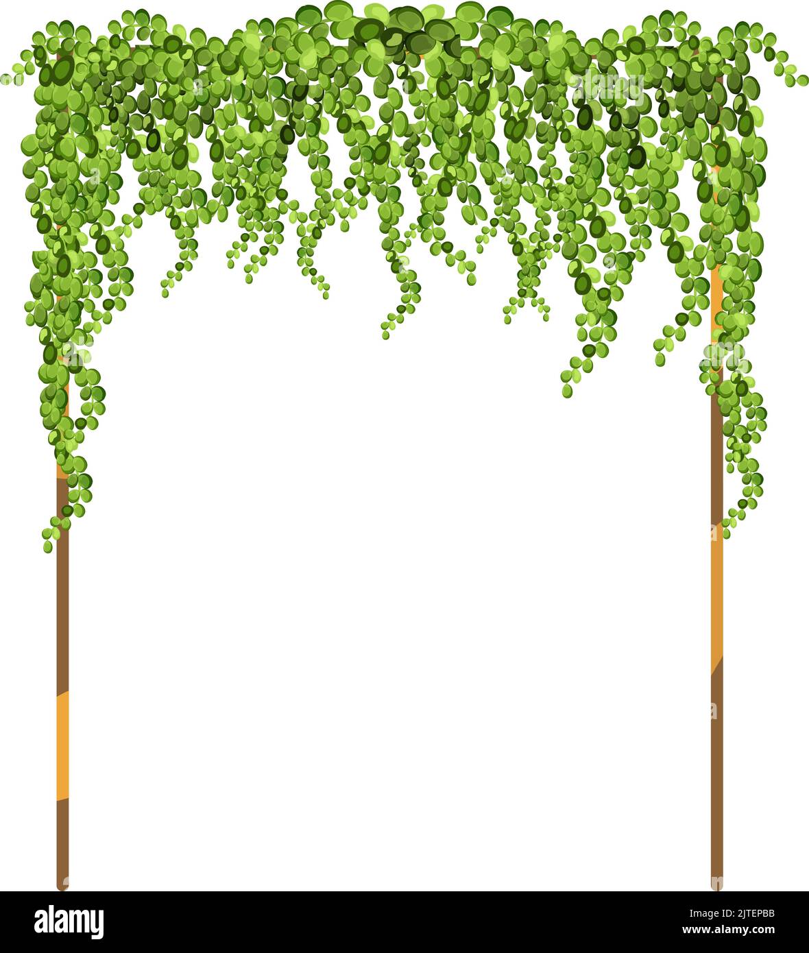 Decorative column for garden or home.Green vine, creeper or ivy hanging ...