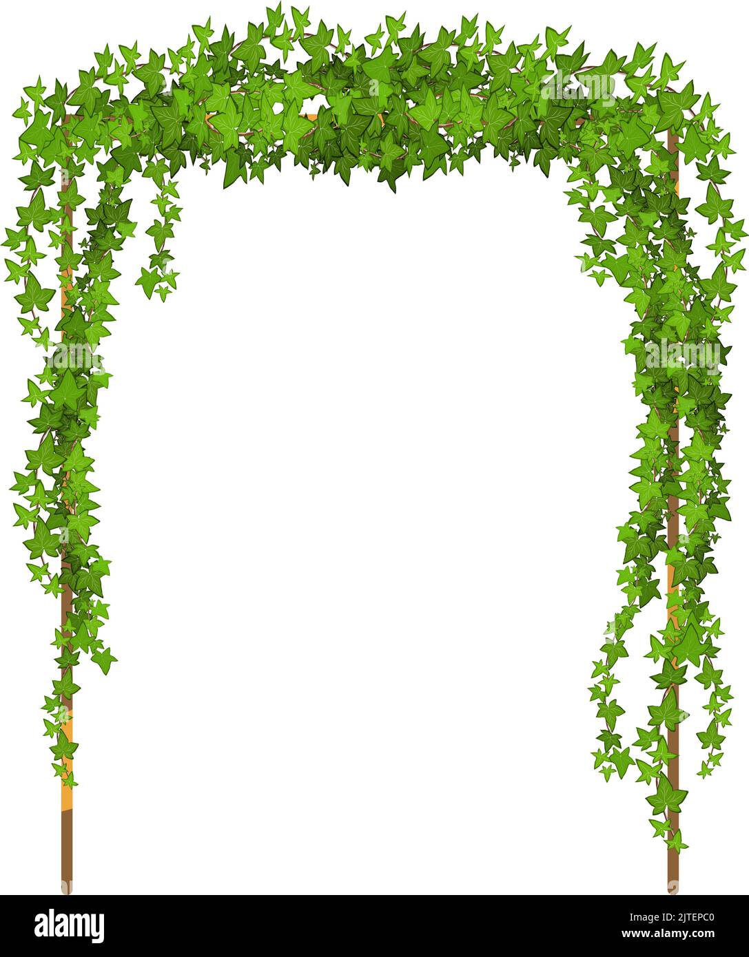 Decorative column for garden or home.Green vine, creeper or ivy hanging ...